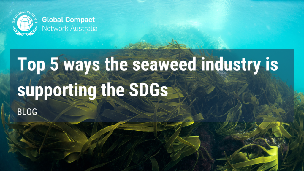 BLOG | Top 5 ways the seaweed industry is supporting the SDGs - UN ...